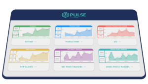 Real-Time Veterinary Practice Financial + Data Dashboard